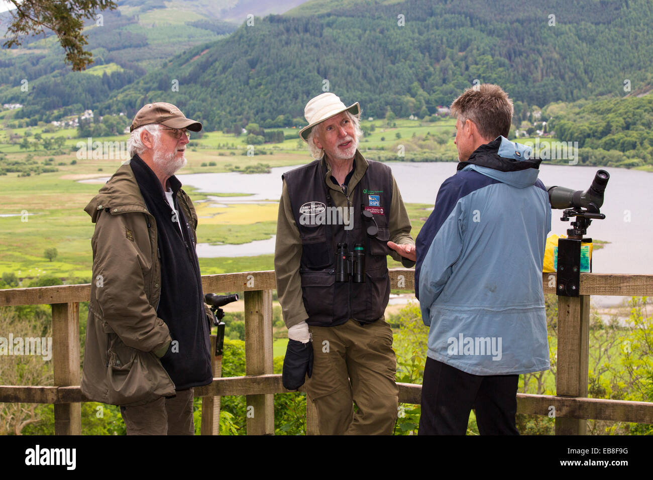 The Lake district Osprey Project, UK Stock Photo - Alamy