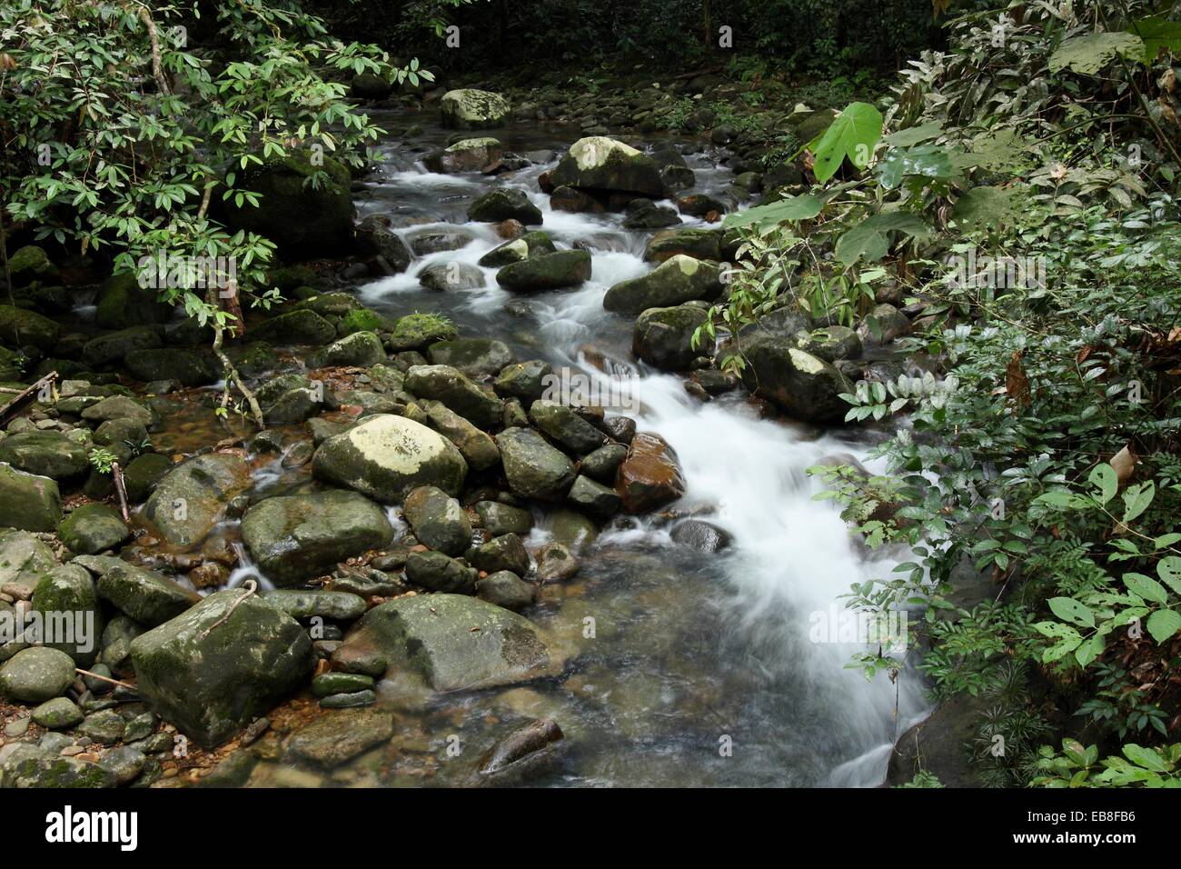 Water Stream, Kuching, sarawak, borneo Stock Photo - Alamy