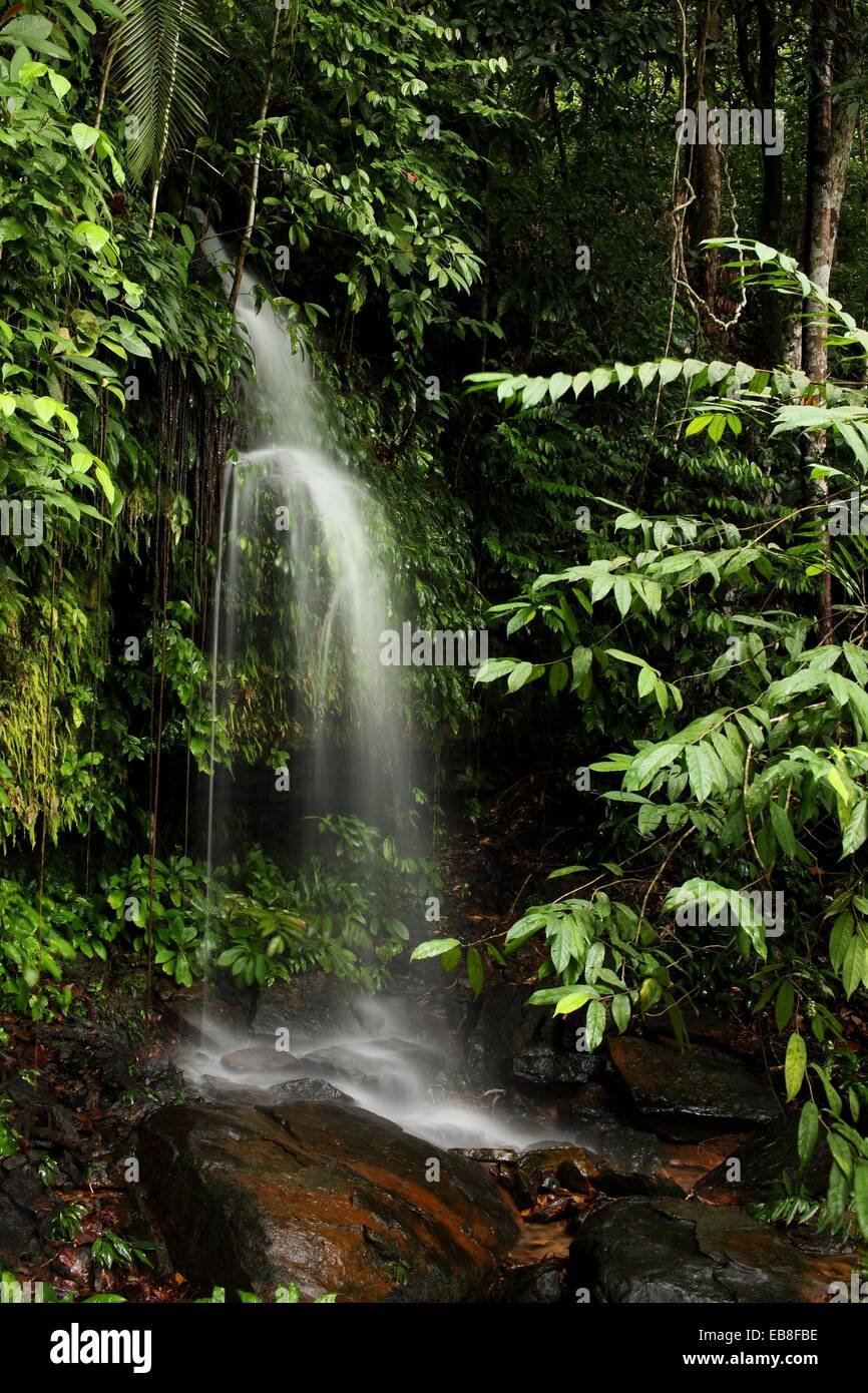 waterfall in Sarawak Cultural Village, Damai, Sarawak, Malaysia Stock ...