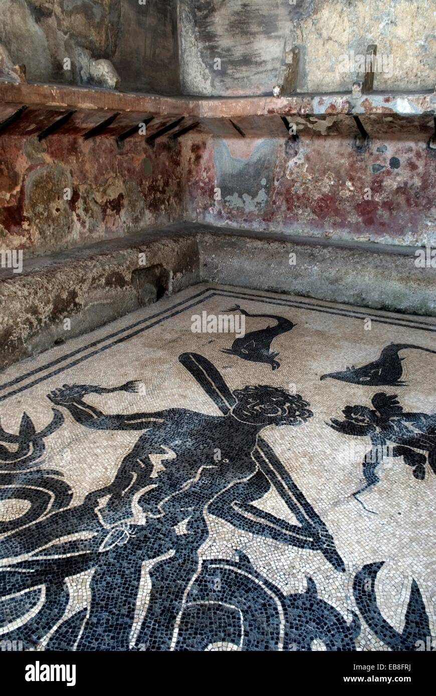 Pompeii mosaic floor thermae hi-res stock photography and images - Alamy