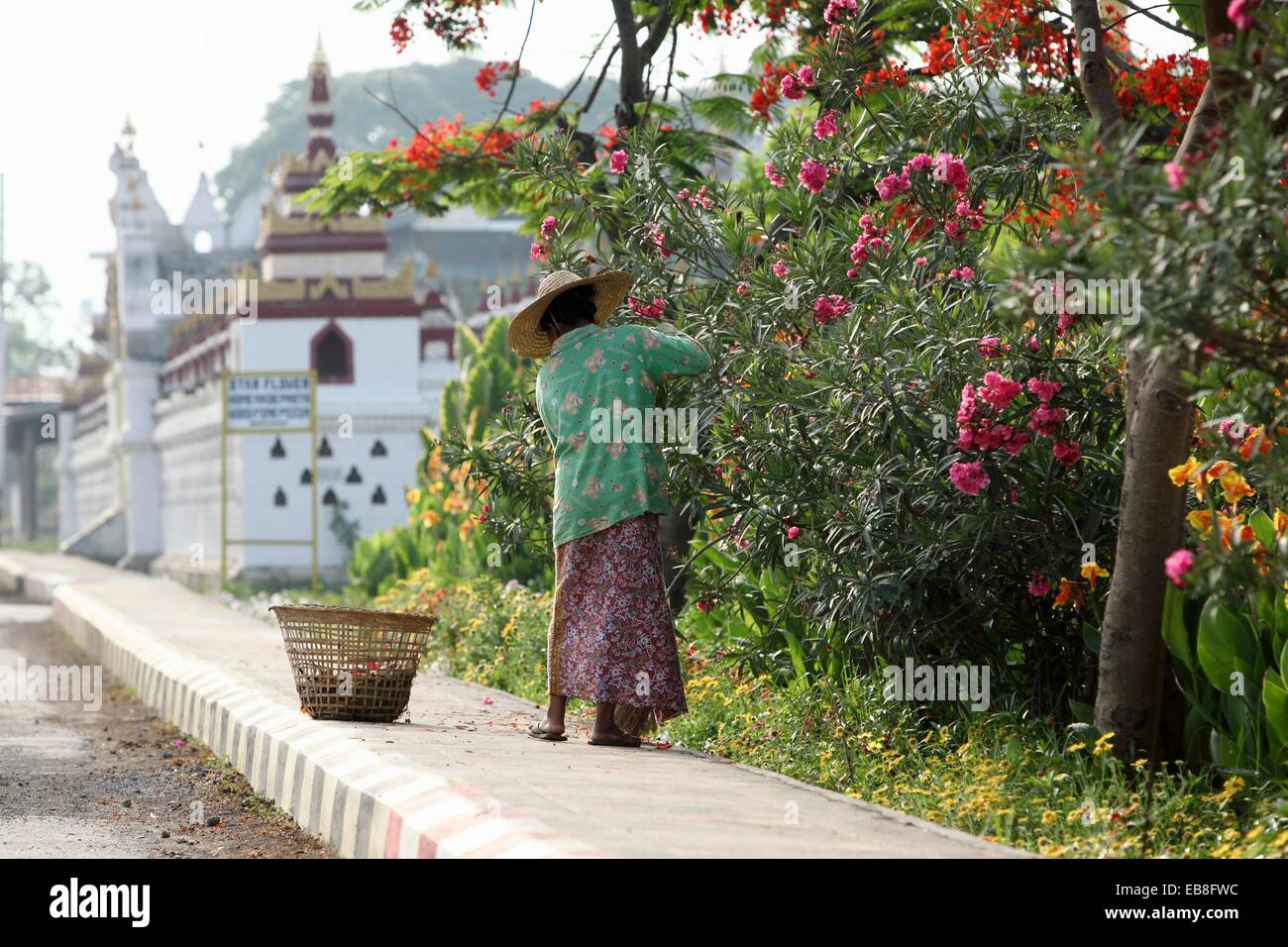 Women brooming hi-res stock photography and images - Alamy