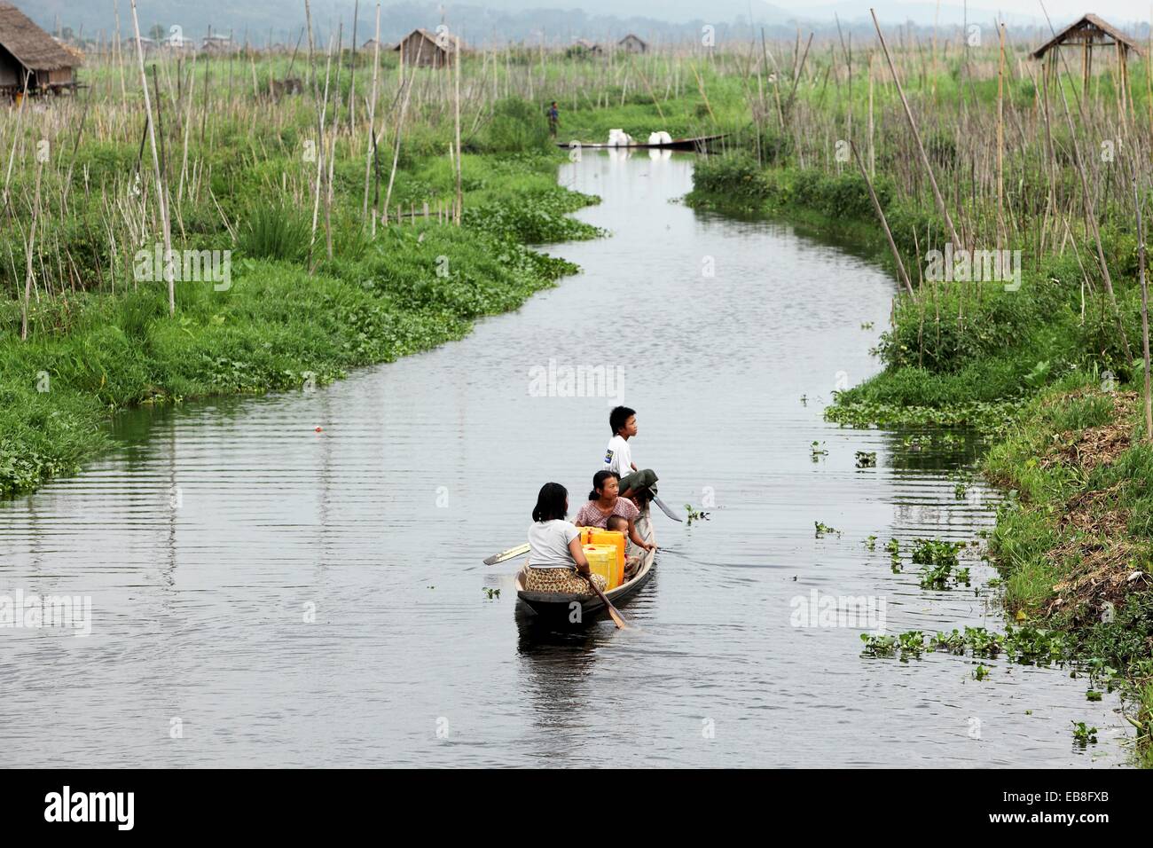 Floating gardens, Inle Lake, Shan states, Burma Stock Photo - Alamy