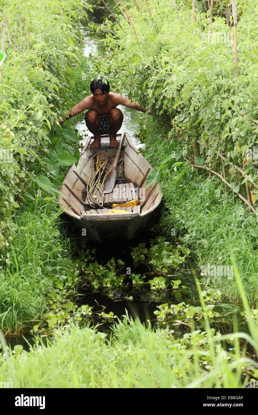 Floating gardens, Inle Lake, Shan states, Burma Stock Photo - Alamy