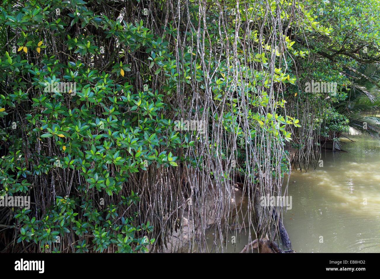 Similajau hi-res stock photography and images - Alamy