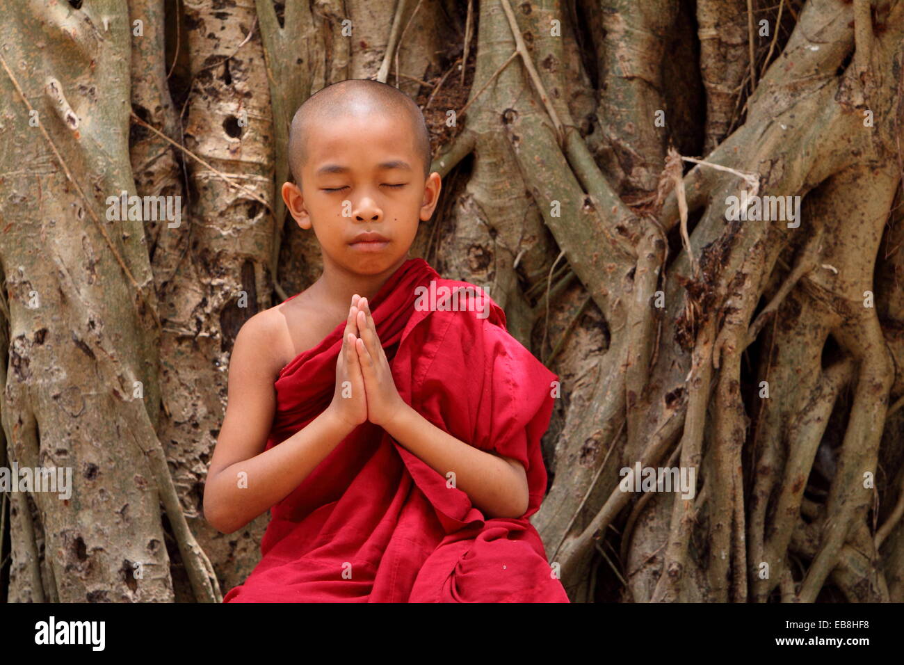 Monk under hi-res stock photography and images - Alamy