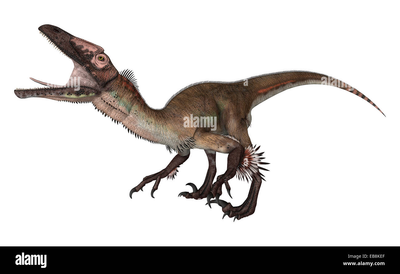 3D digital render of a dinosaur utahraptor isolated on white background ...