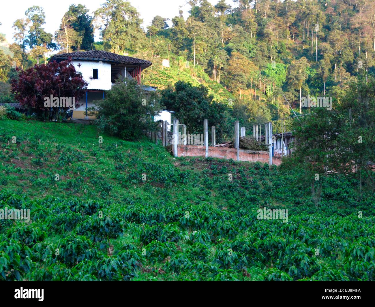 Paisa region hi-res stock photography and images - Alamy