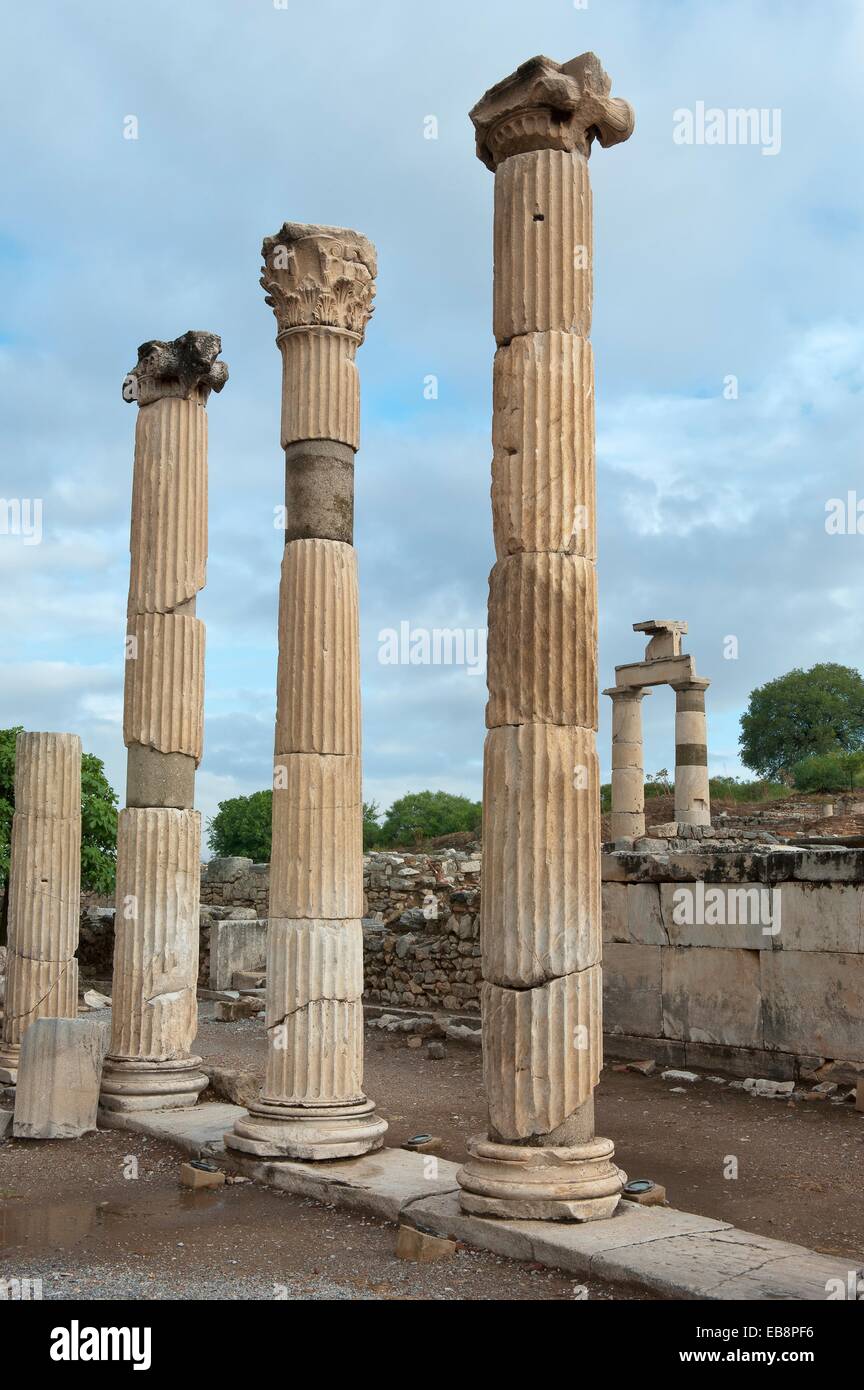 Prytaneion columns, Artemis temple, Ephesus, Izmir Province, Turkey ...