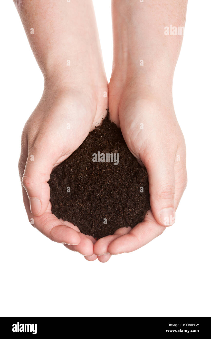 Soil in hands isolated on white background Stock Photo - Alamy