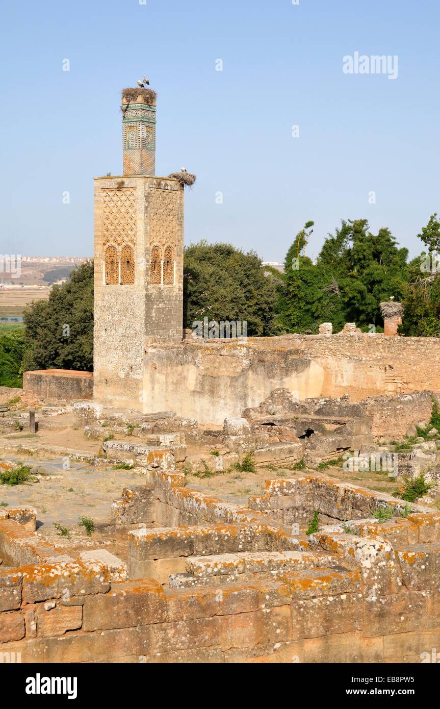Chellah necropolis people hi-res stock photography and images - Alamy