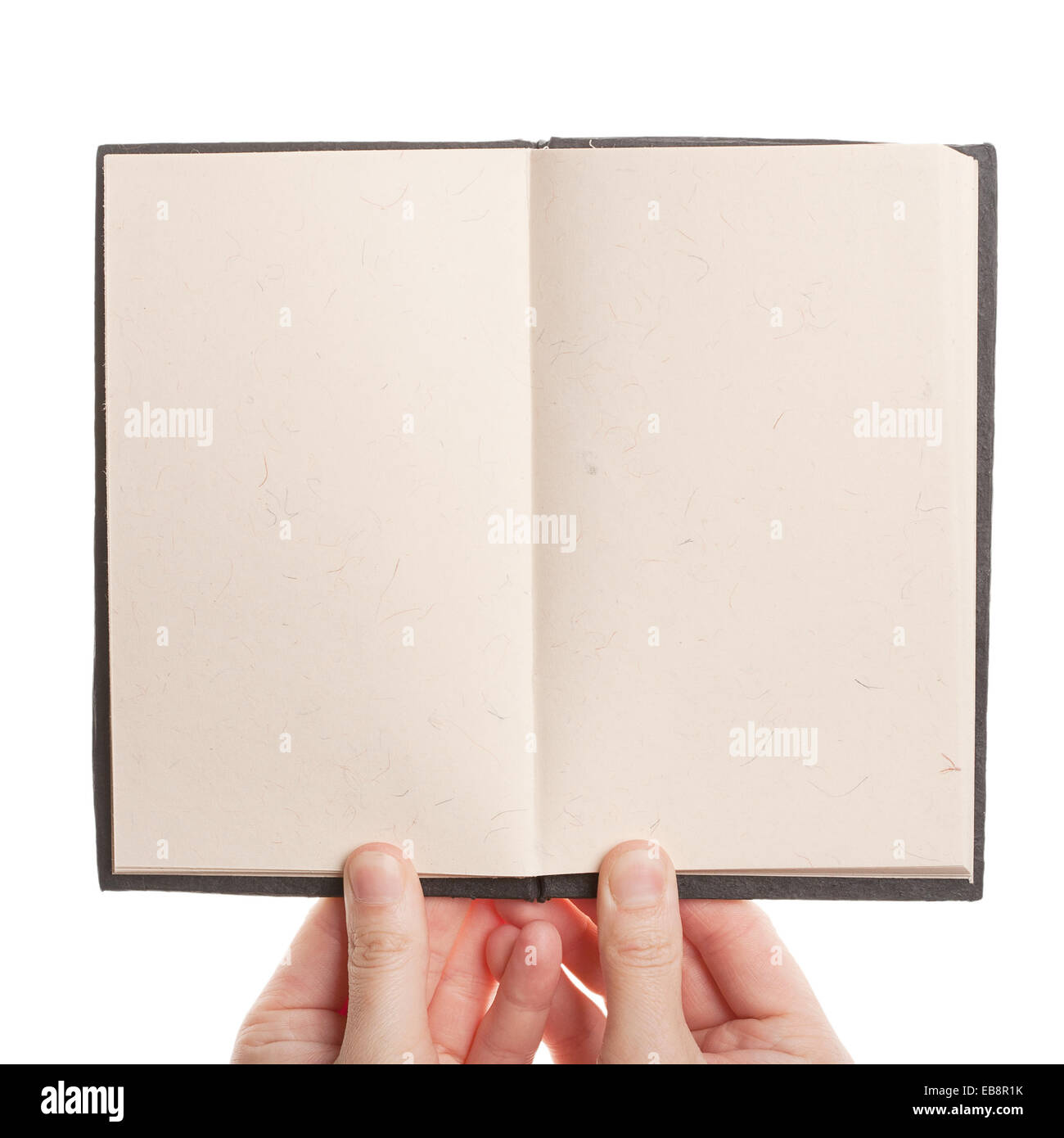 Opened book in hands isolated on white background Stock Photo - Alamy