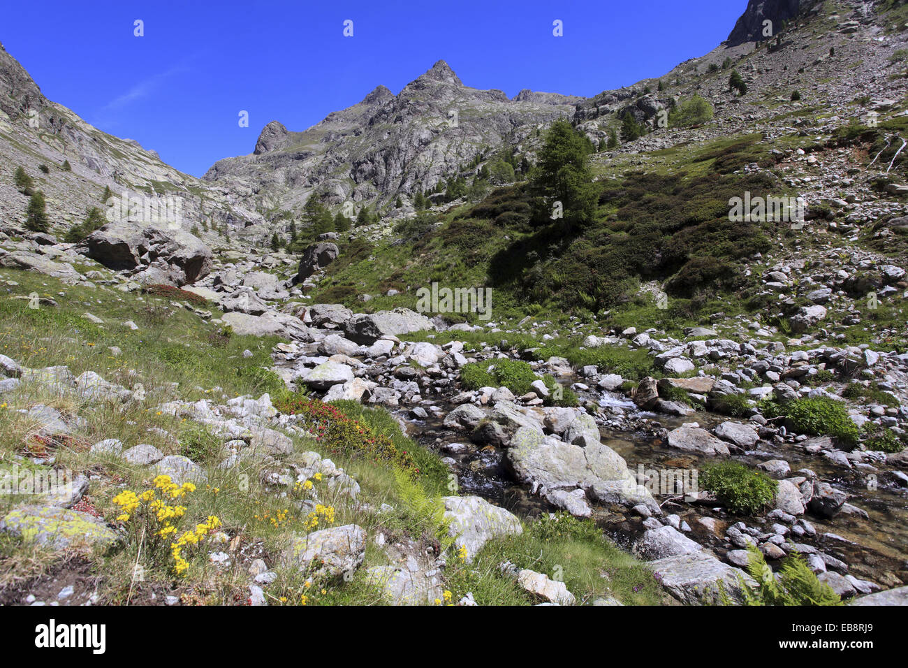 Gordolasque hi-res stock photography and images - Alamy