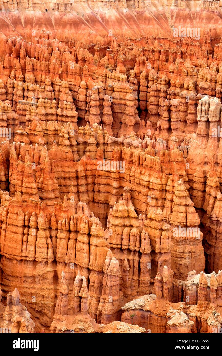 Hoodoos, Inspiration Point, Bryce Amphitheater, Bryce Canyon National ...