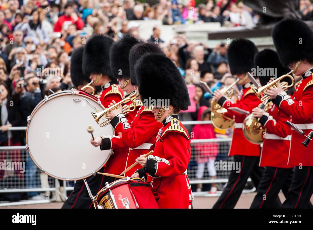 Drummer, change of guard, Buckingham Palace, London, UK Stock Photo - Alamy