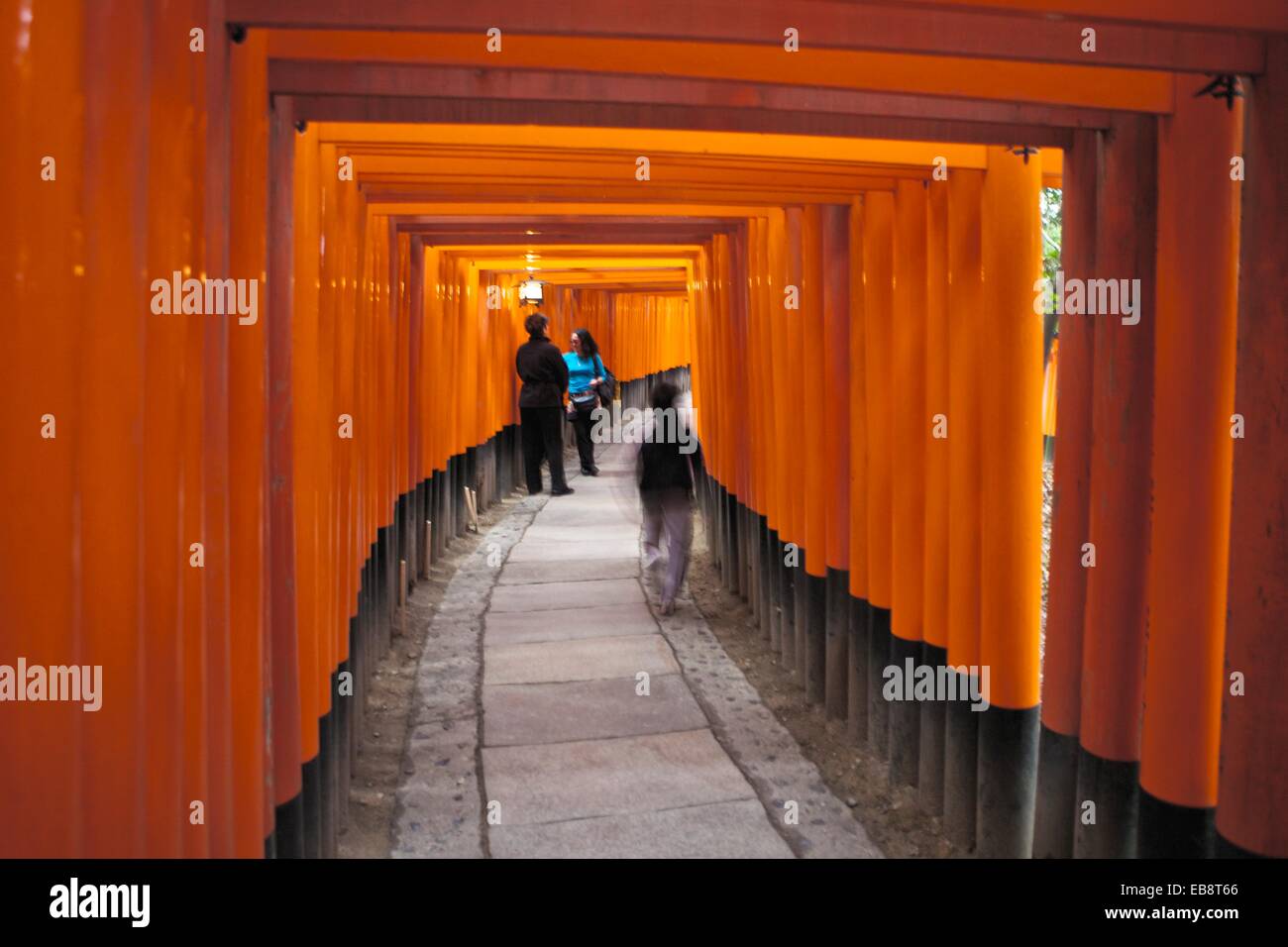 Inari fushima shrine hi-res stock photography and images - Alamy