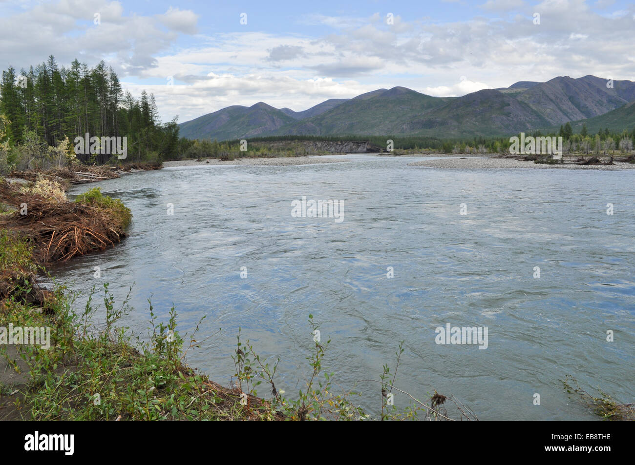 Yakut landscape in the area of Oymyakon highland ridge Suntar-khayata ...