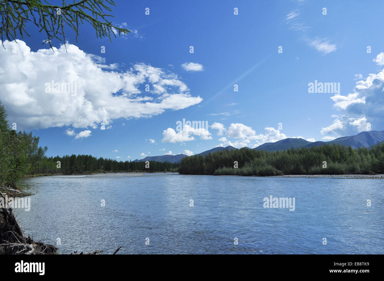 River flowing in a mountain valley. Landscape wildlife. Russia, Yakutia ...