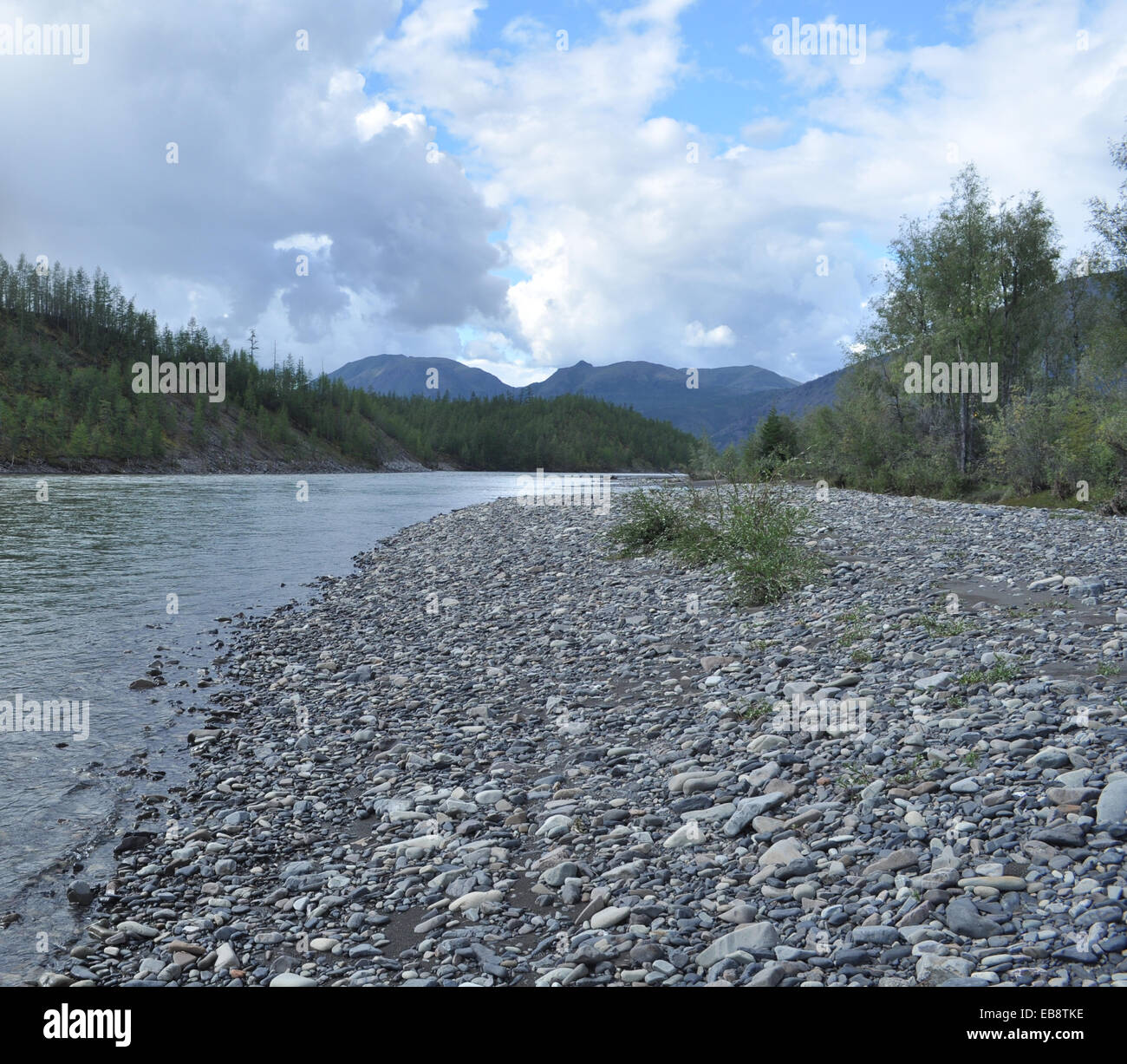 River flowing in a mountain valley. Landscape wildlife. Russia, Yakutia ...