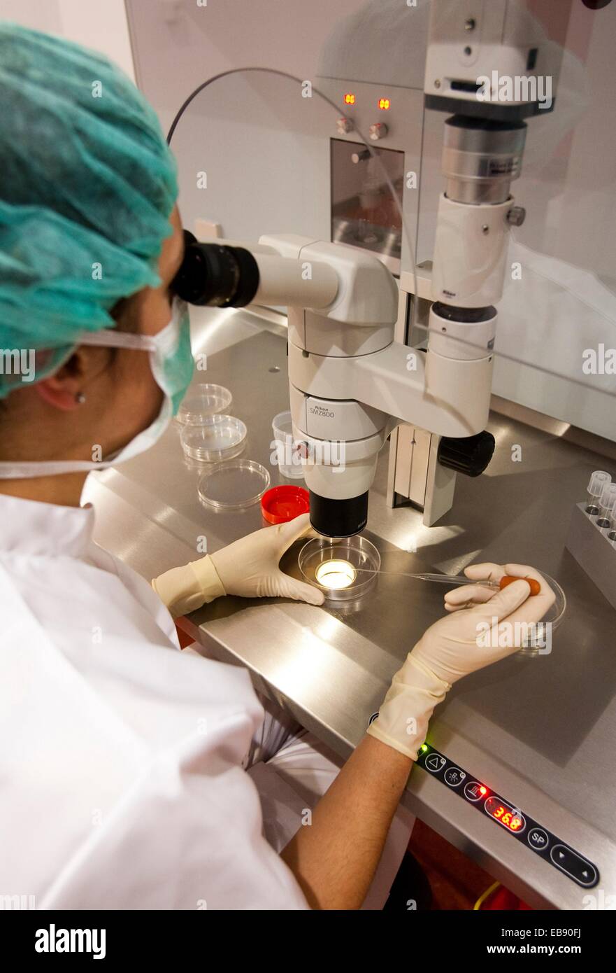 Insemination technician hi-res stock photography and images - Alamy