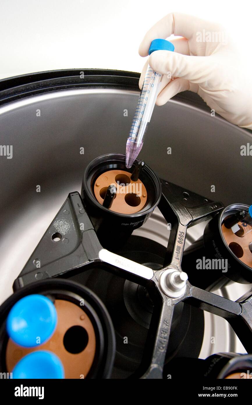 Insemination procedure hi-res stock photography and images - Alamy