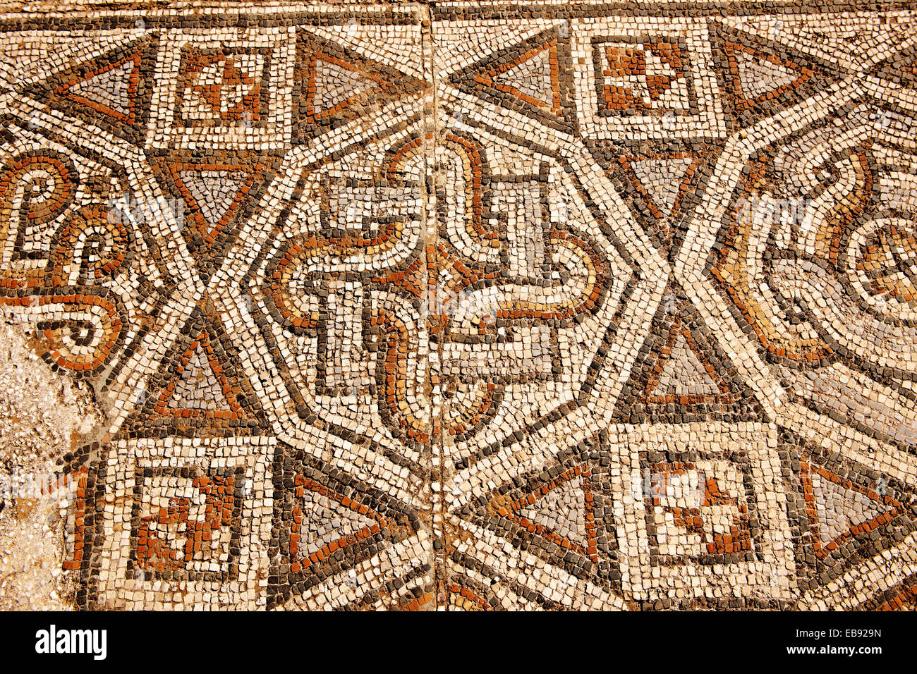 Roman Floor Mosaics Stock Photos & Roman Floor Mosaics Stock Images - Alamy
