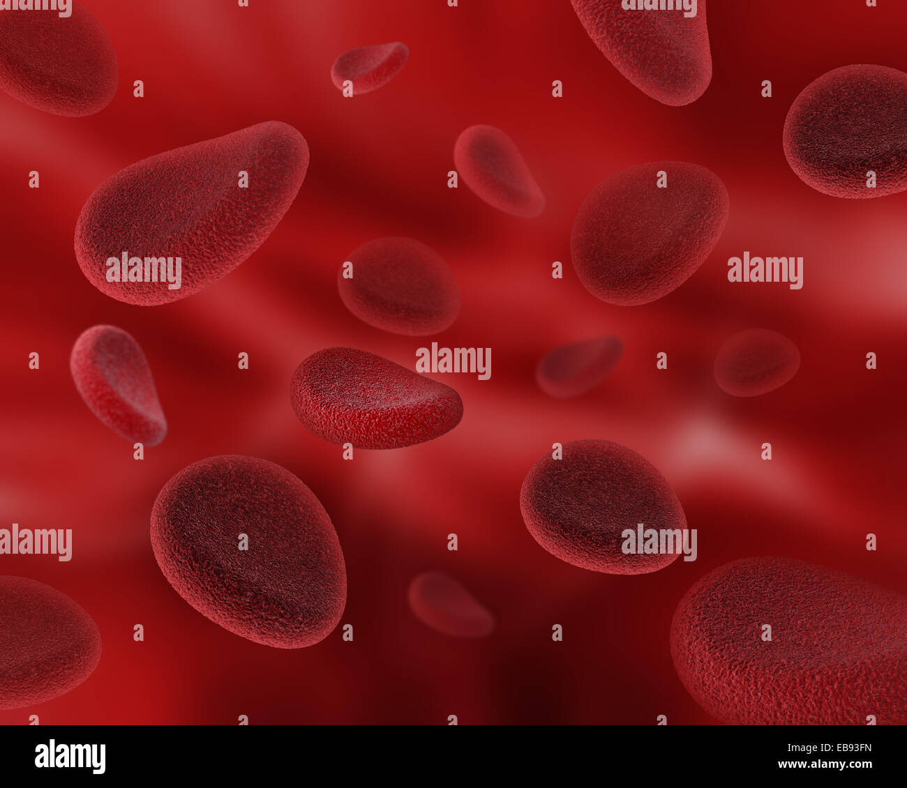 3D render of a medical background with close up of blood cells Stock ...