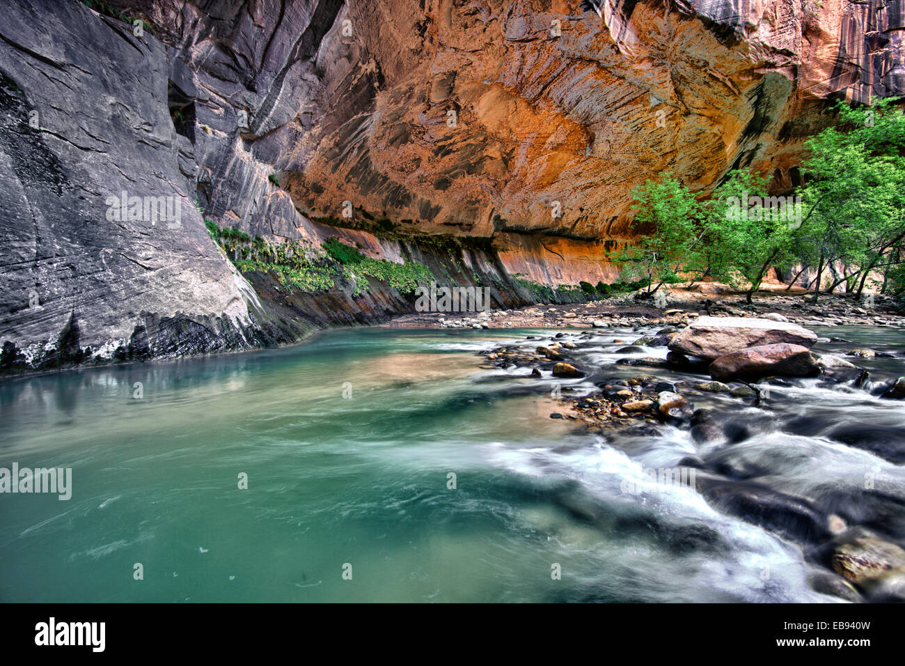 A walk in the Virgin River at Zion Stock Photo - Alamy