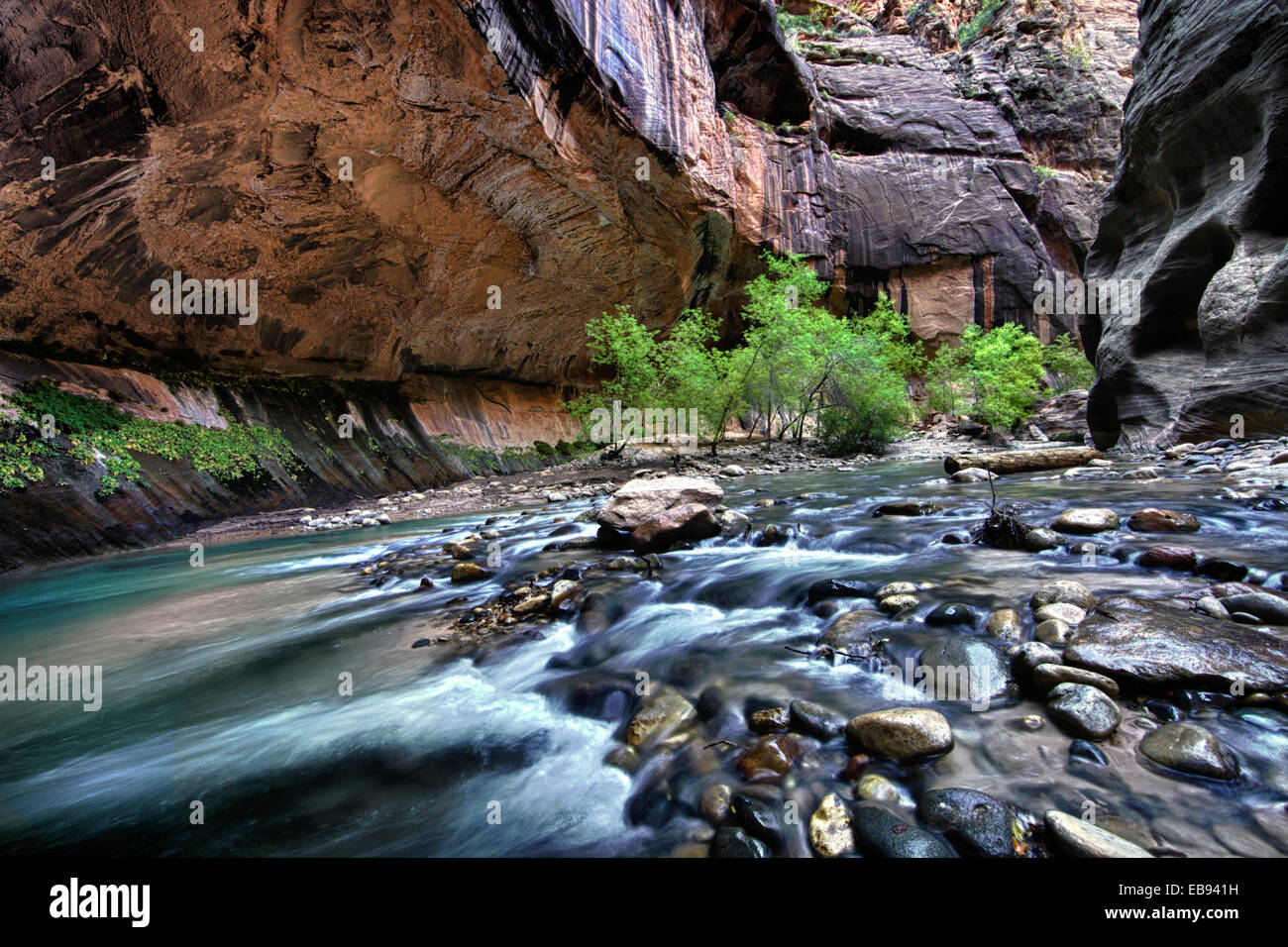 A walk in the Virgin River at Zion Stock Photo - Alamy