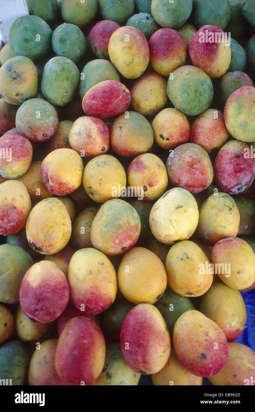 Mangos mexico hi-res stock photography and images - Alamy