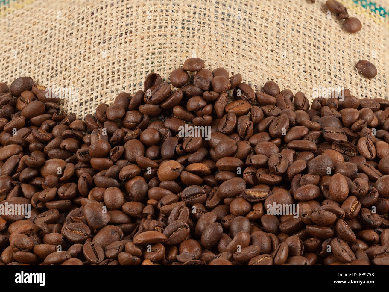 coffee beans on jute sack close up Stock Photo - Alamy
