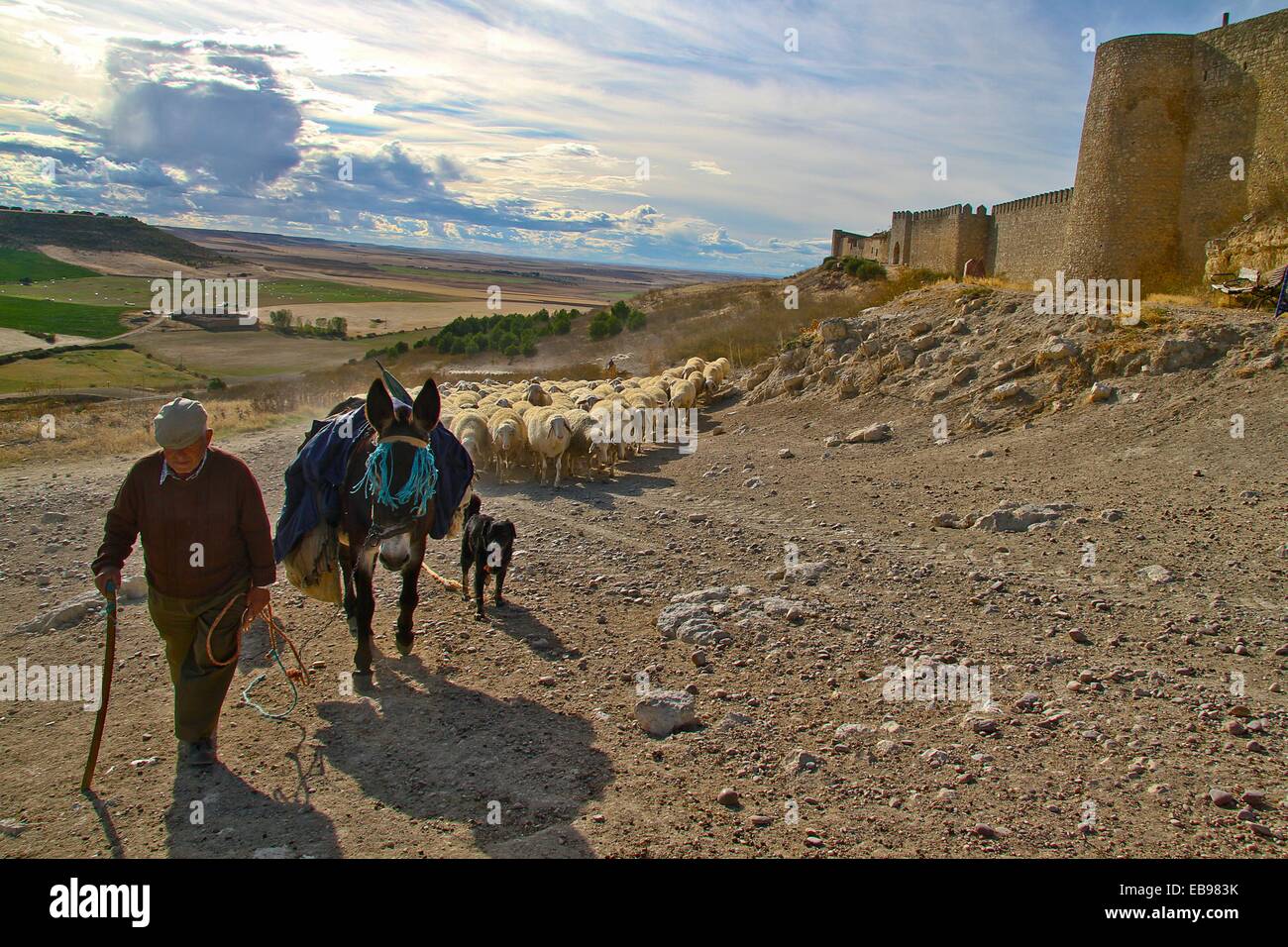 Castle donkey hi-res stock photography and images - Alamy