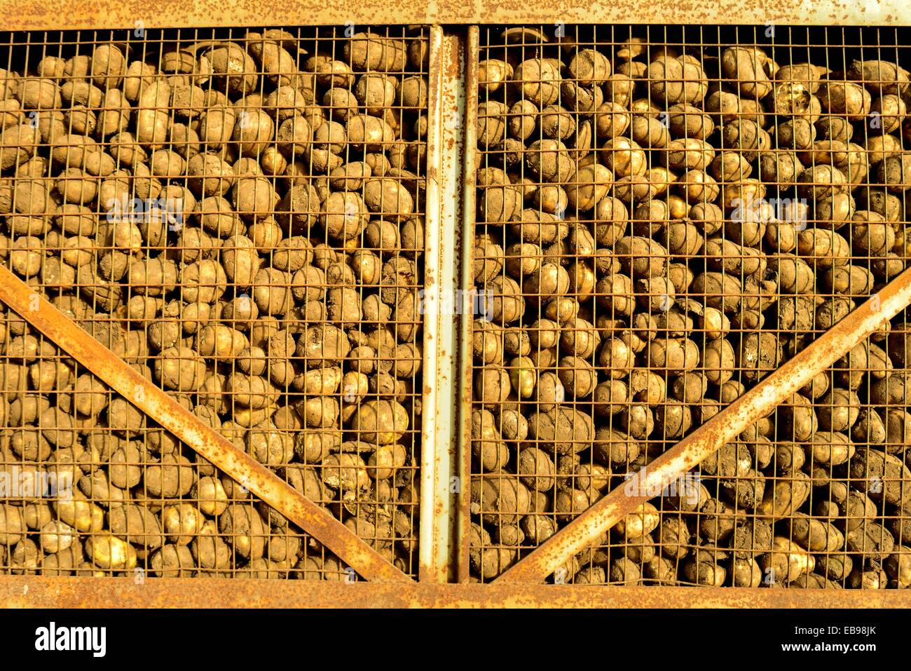 Potato cage hi-res stock photography and images - Alamy