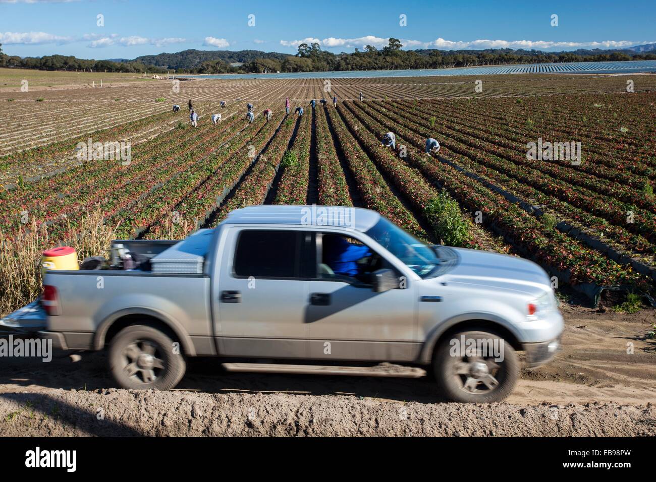 Workers farm california hi-res stock photography and images - Alamy