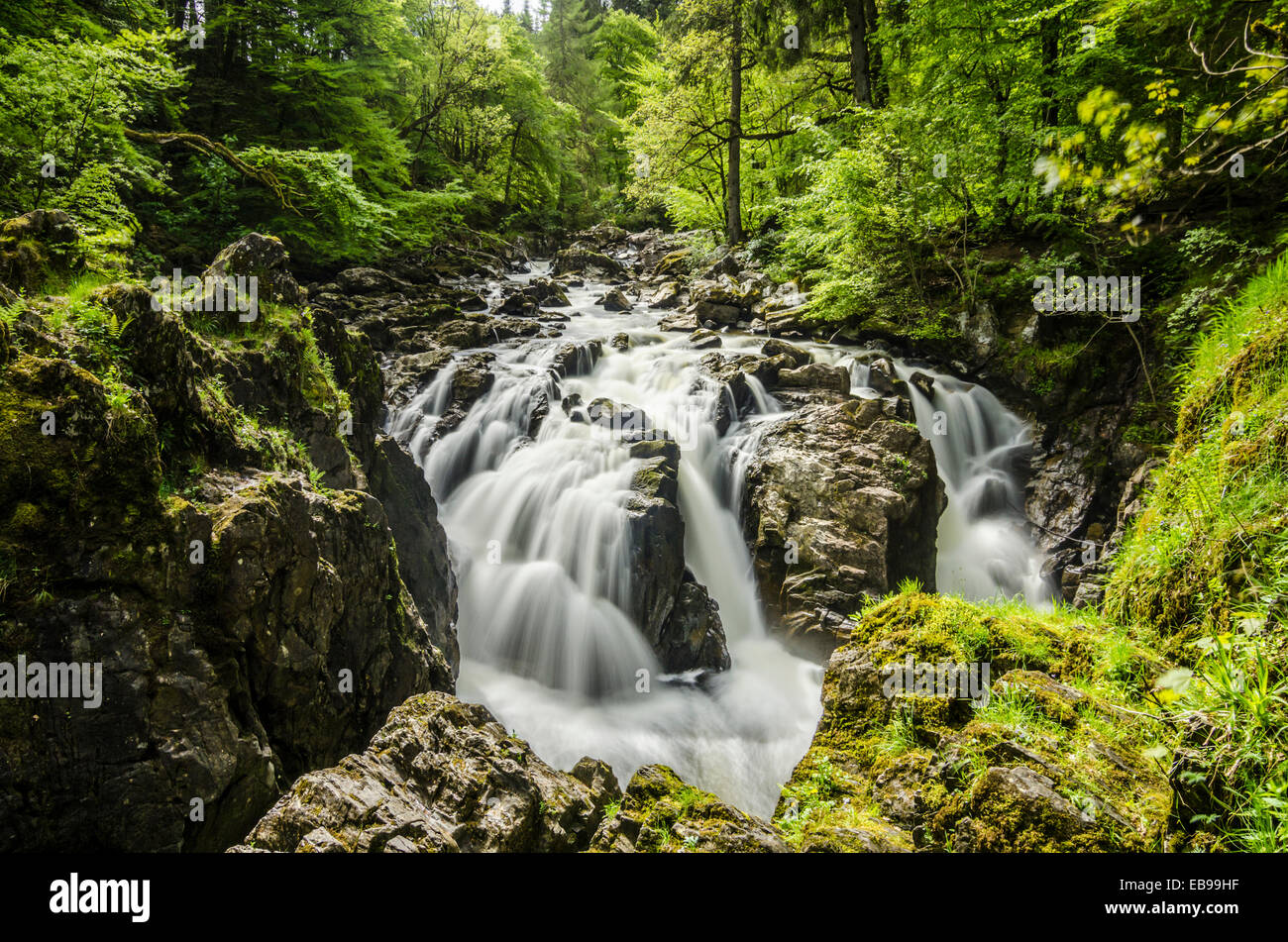 The Hermitage, Dunkeld, Scotland Stock Photo - Alamy