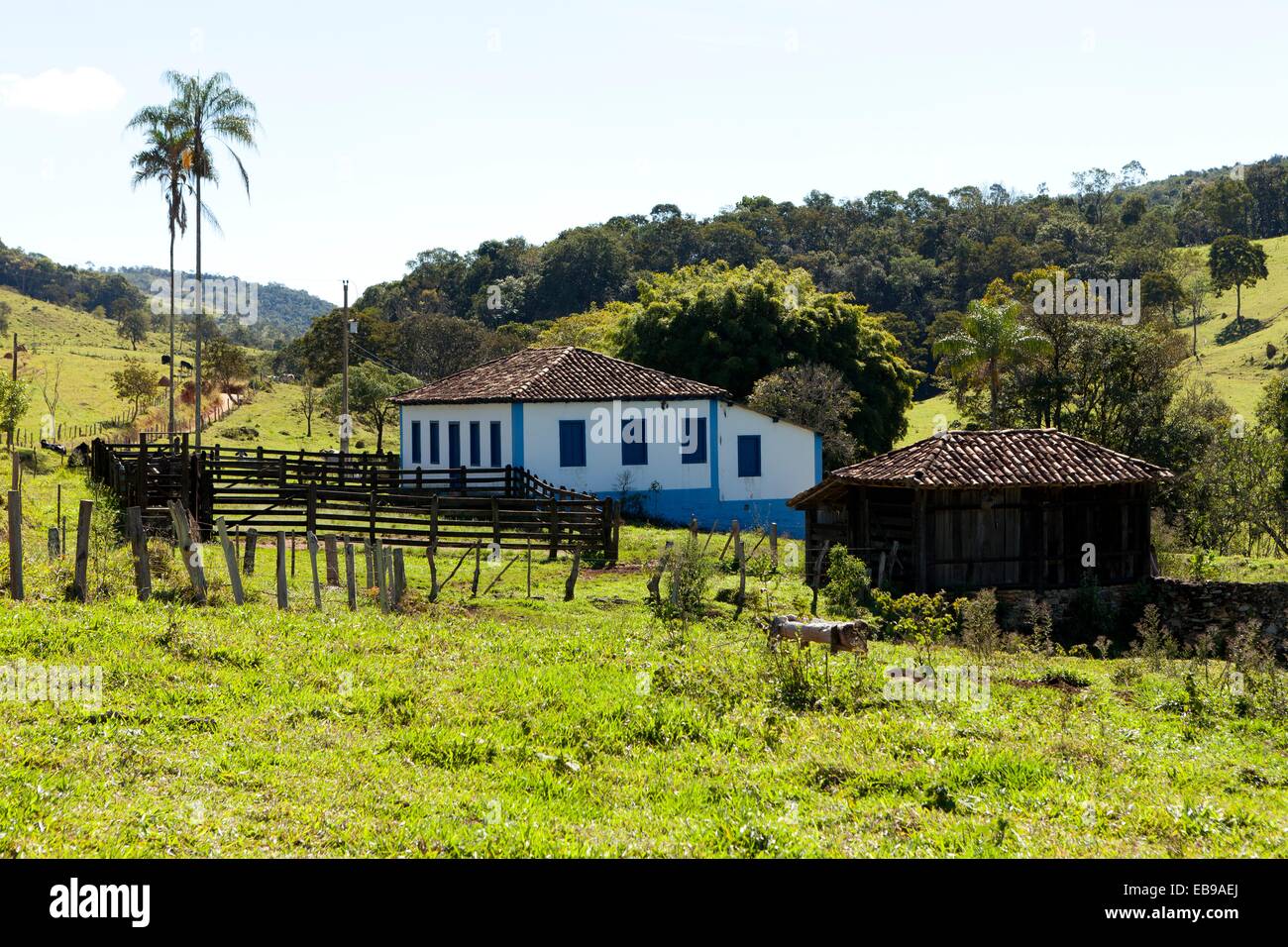 Rural landscape, Minas Gerais, Brazil Stock Photo: 75808506 - Alamy