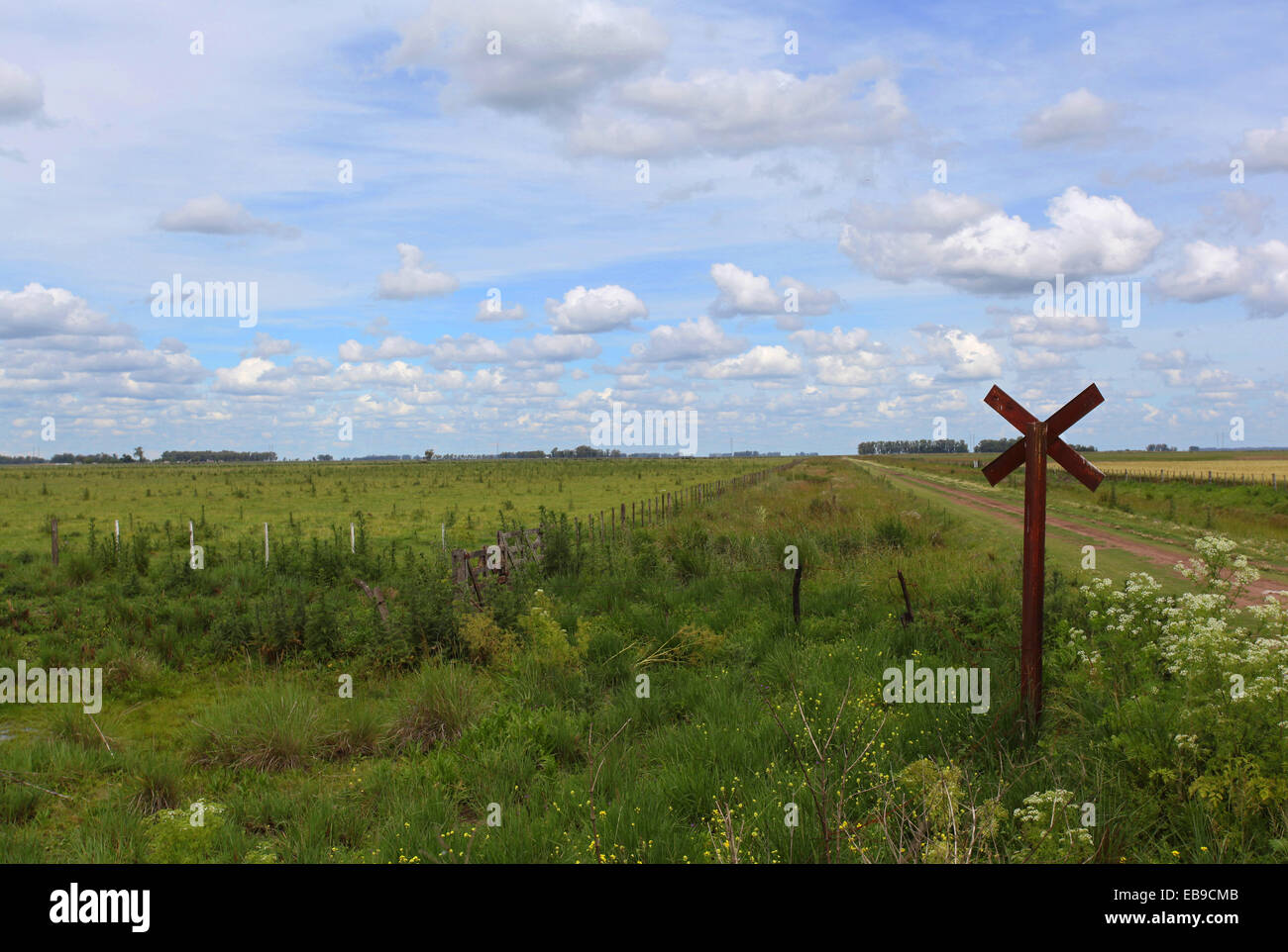 Pampas environment hi-res stock photography and images - Alamy