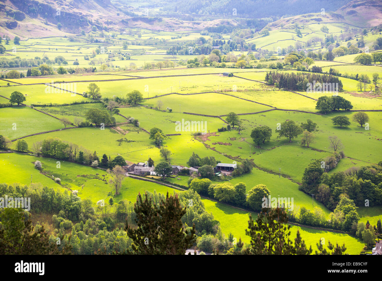 Lake District countryside near Keswick, Cumbria, UK Stock Photo - Alamy