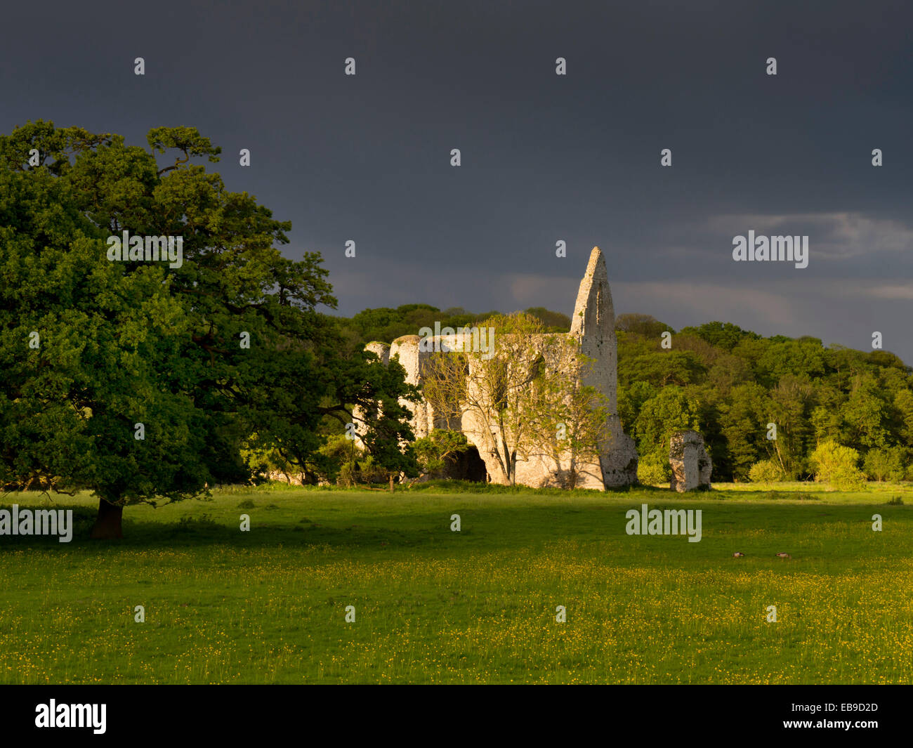 europe, UK, England, Surrey, Newark Priory Stock Photo - Alamy