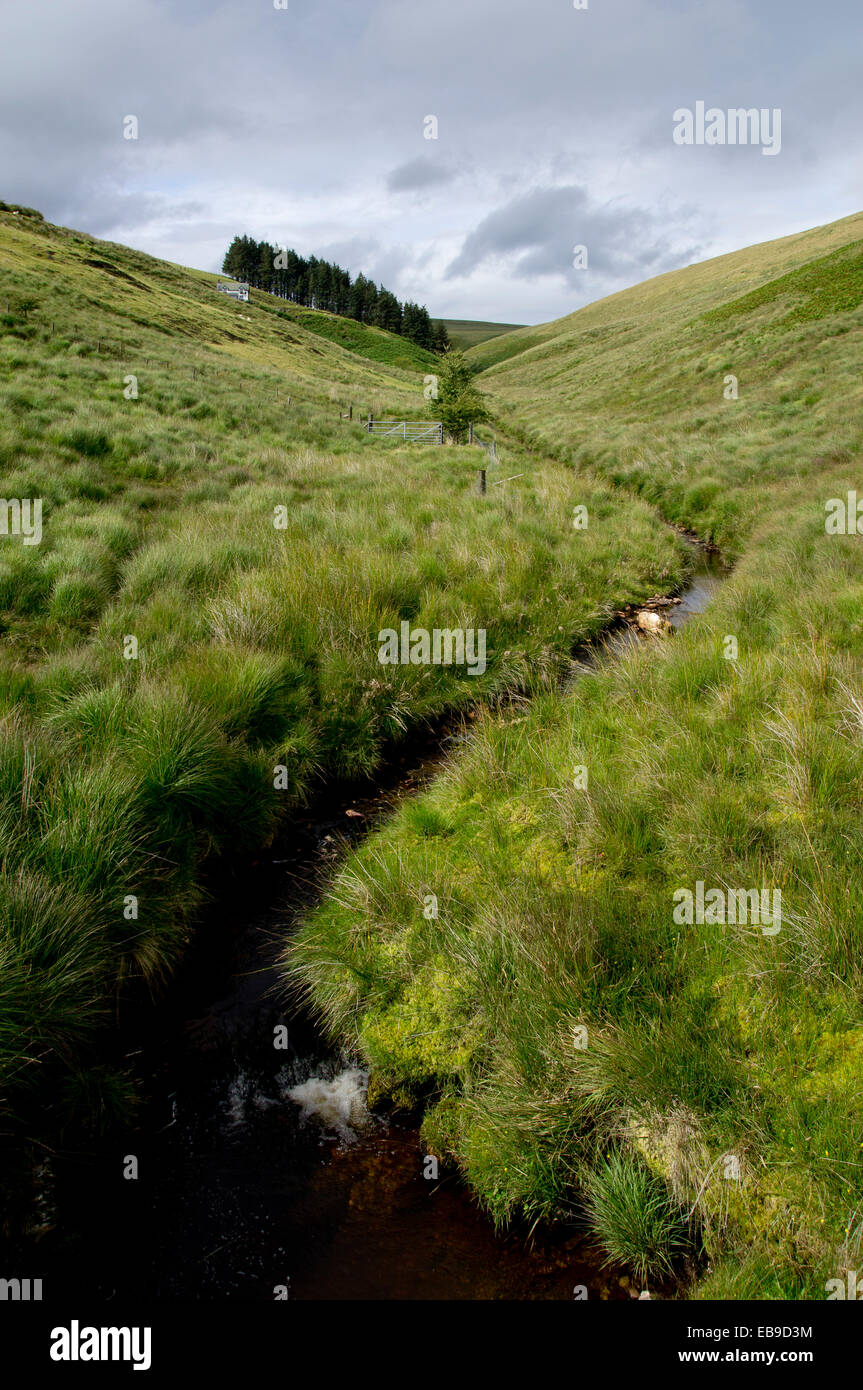 UK, Wales, Powys, landscape Stock Photo - Alamy