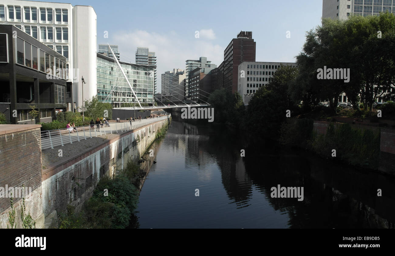 Blue sky view trees, Trinity Footbridge from Albert Bridge, buildings ...