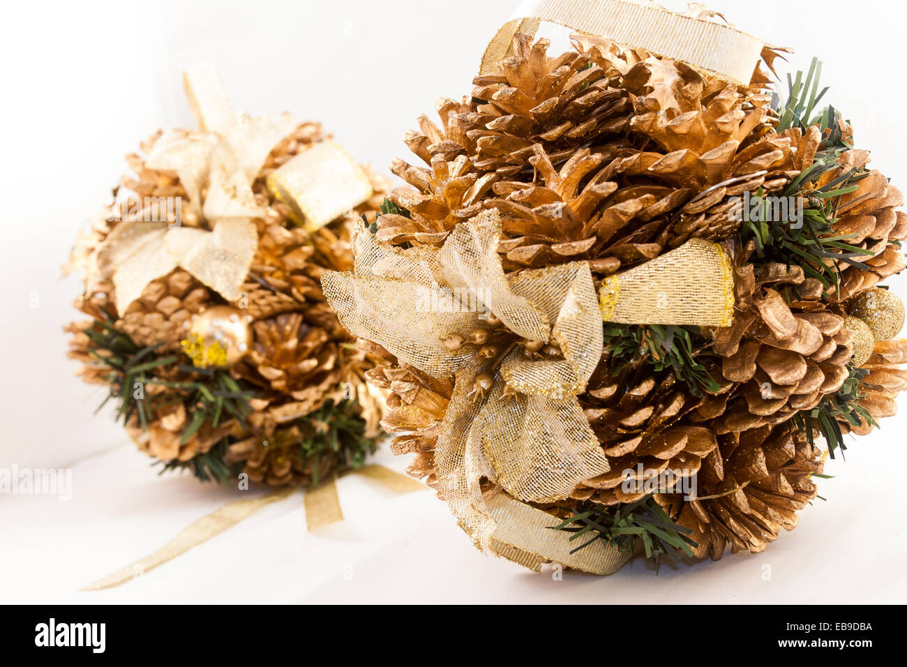 winter pinecones brilliant Stock Photo - Alamy