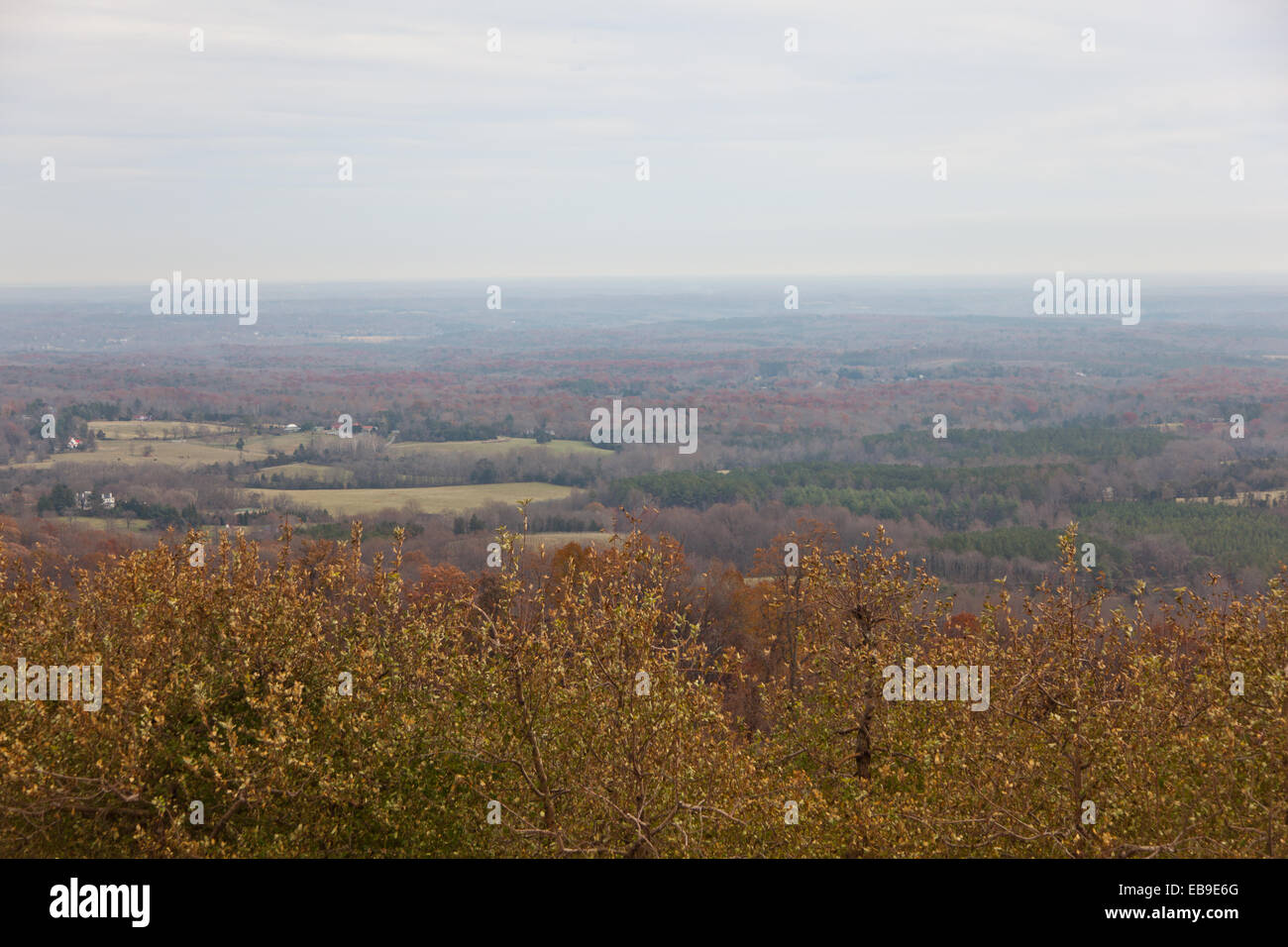 Carter mountain orchard hi-res stock photography and images - Alamy