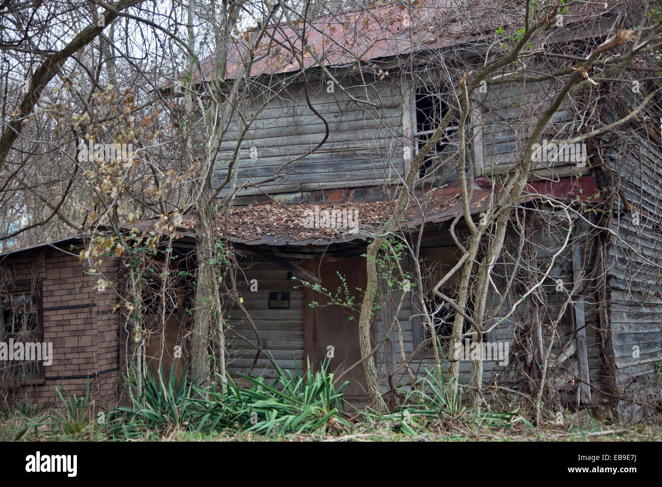 Old abandoned and condemned home overgrown by nature Stock Photo - Alamy