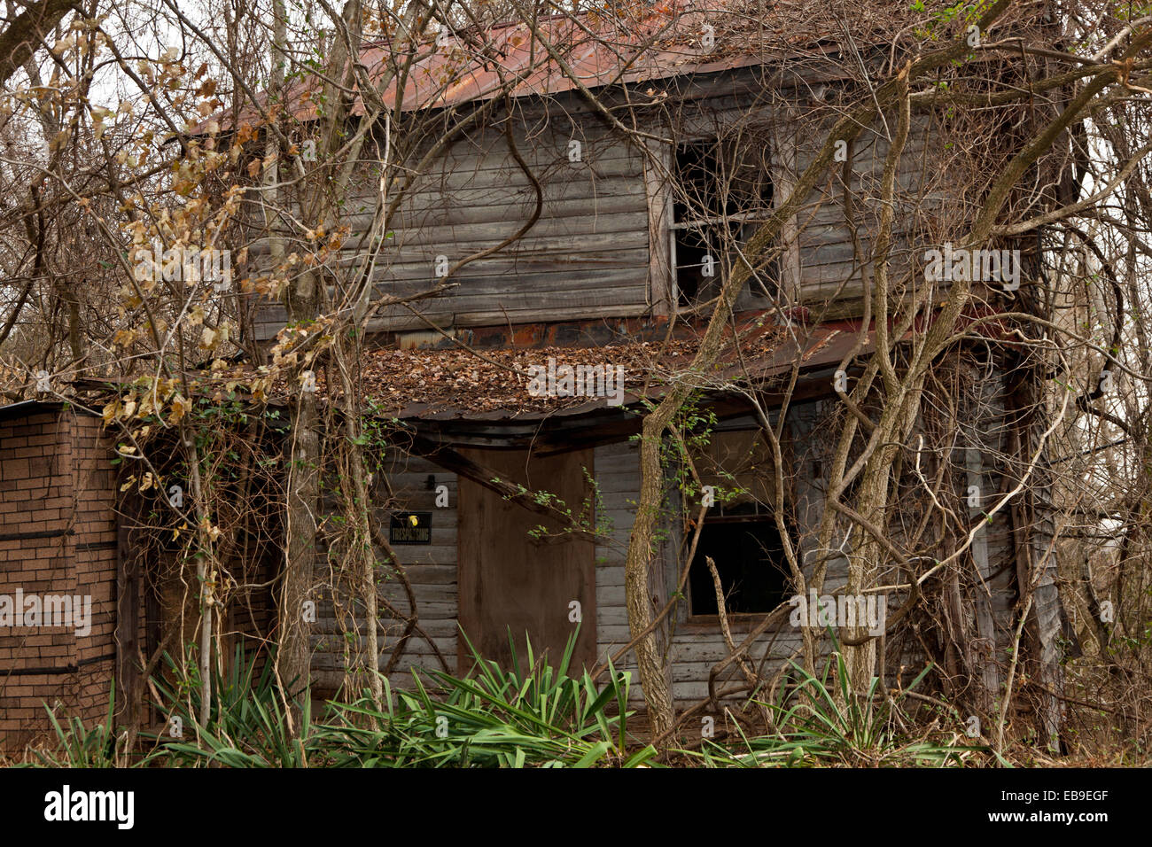 Old abandoned and condemned home overgrown by nature Stock Photo - Alamy