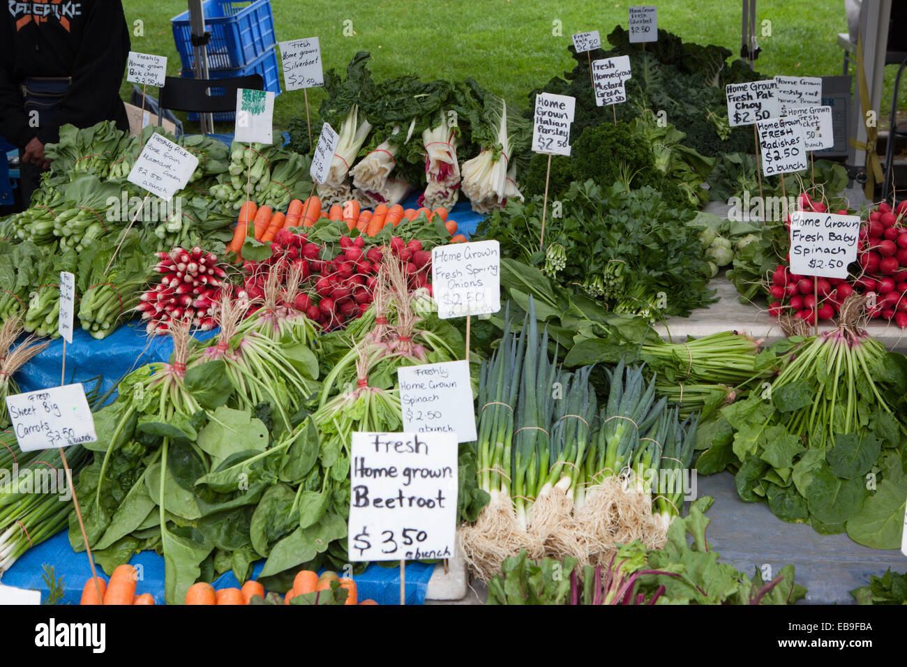 Vegetables of australia hi-res stock photography and images - Alamy