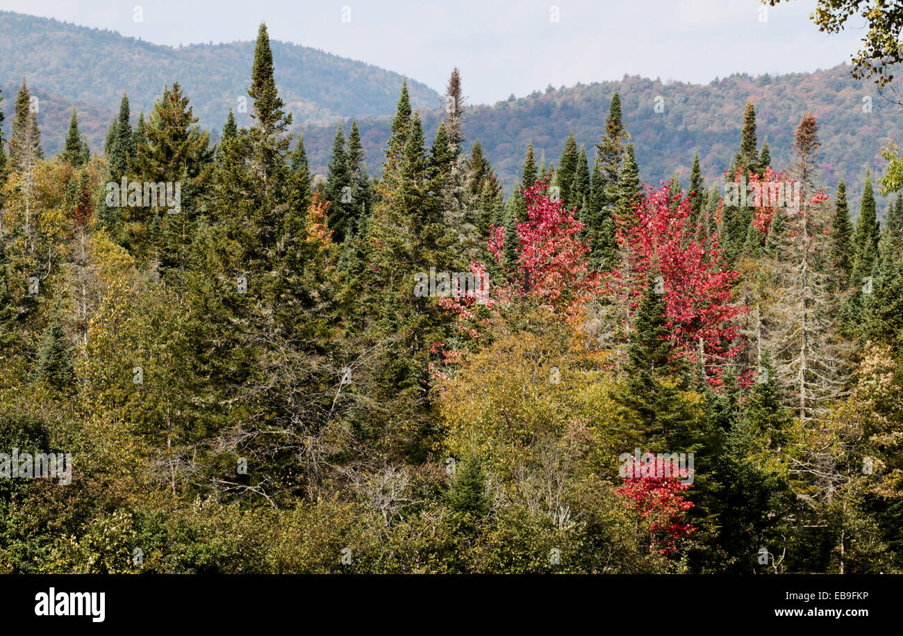Adirondack fall autumn mountain scene. Adirondack State Park New York ...