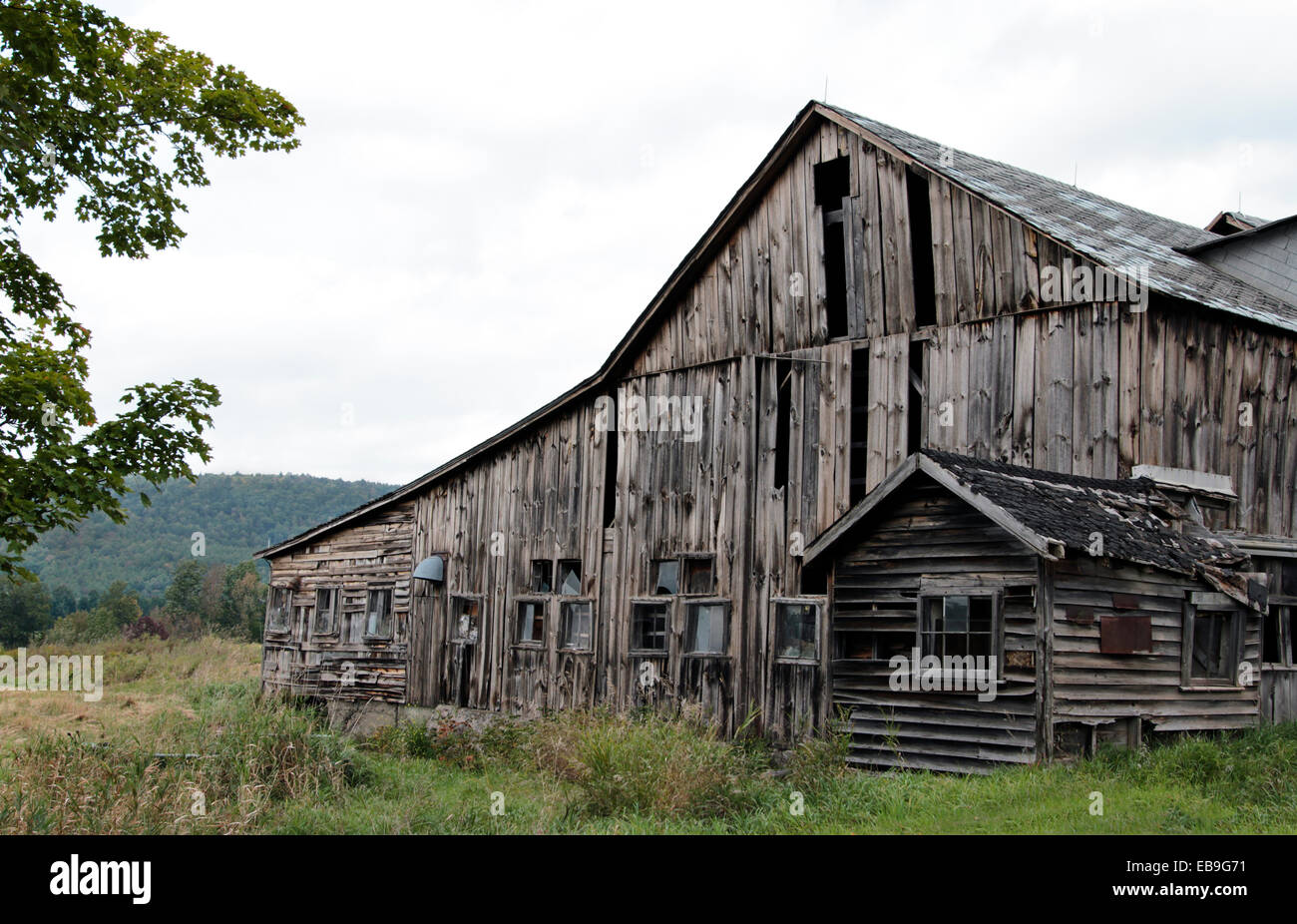 Weather Beaten Mayor Adams Announce Proactive Safety Plan To Help New