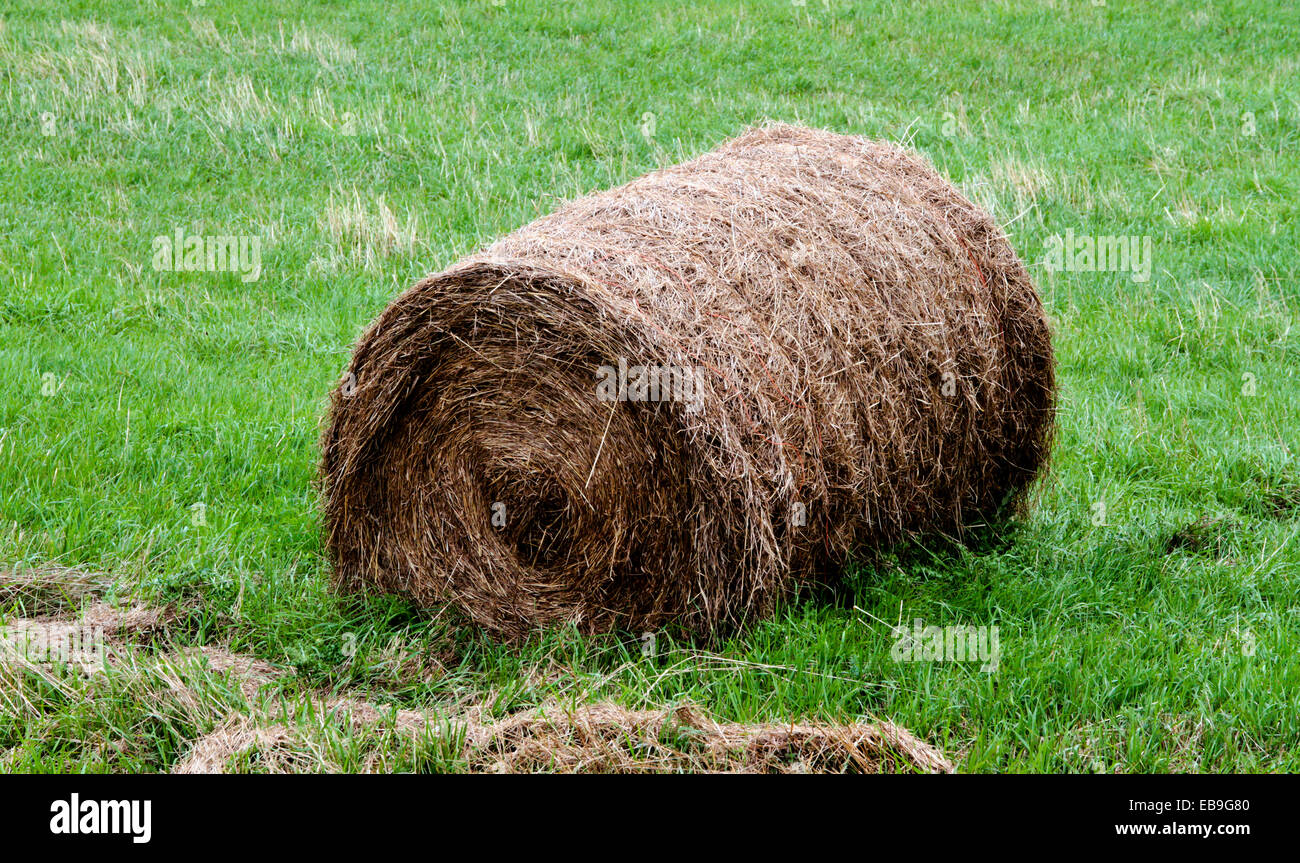 Hay rolls at farm hi-res stock photography and images - Alamy