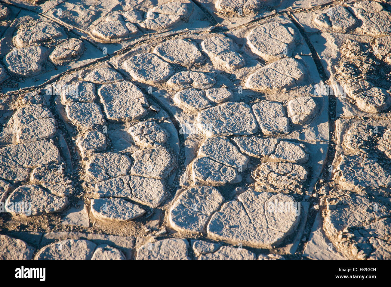 Dried and Cracked Parched Sand at the Mesquite Sand Dunes in Death ...