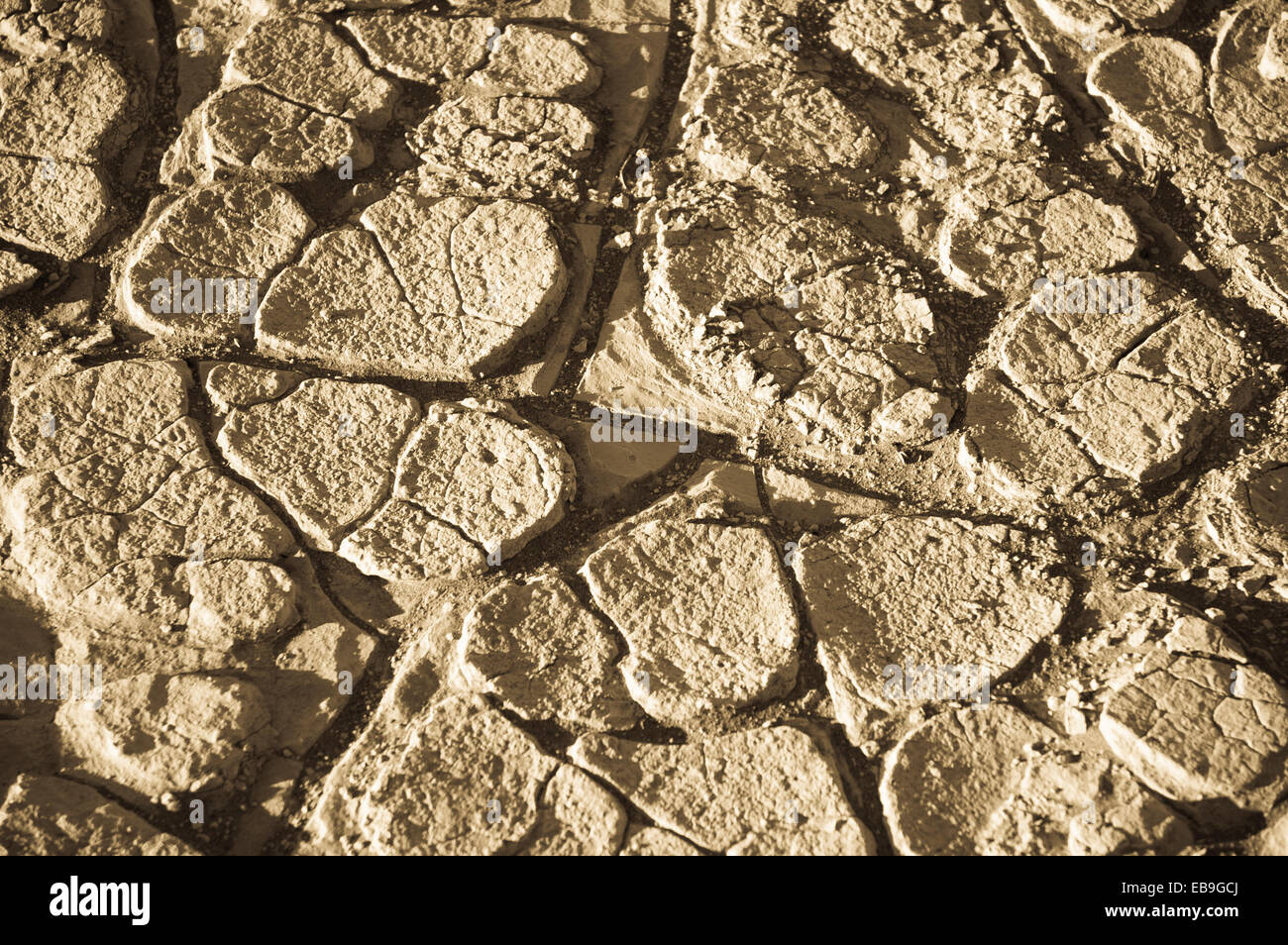 Dried and Cracked Parched Sand at the Mesquite Sand Dunes in Death ...